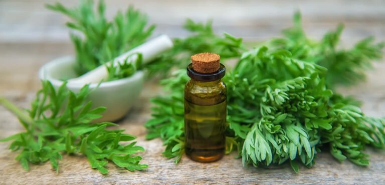 PELYNAS - nauda, naudojimas, šalutinis poveikis ir dar daugiau - Biology.lt